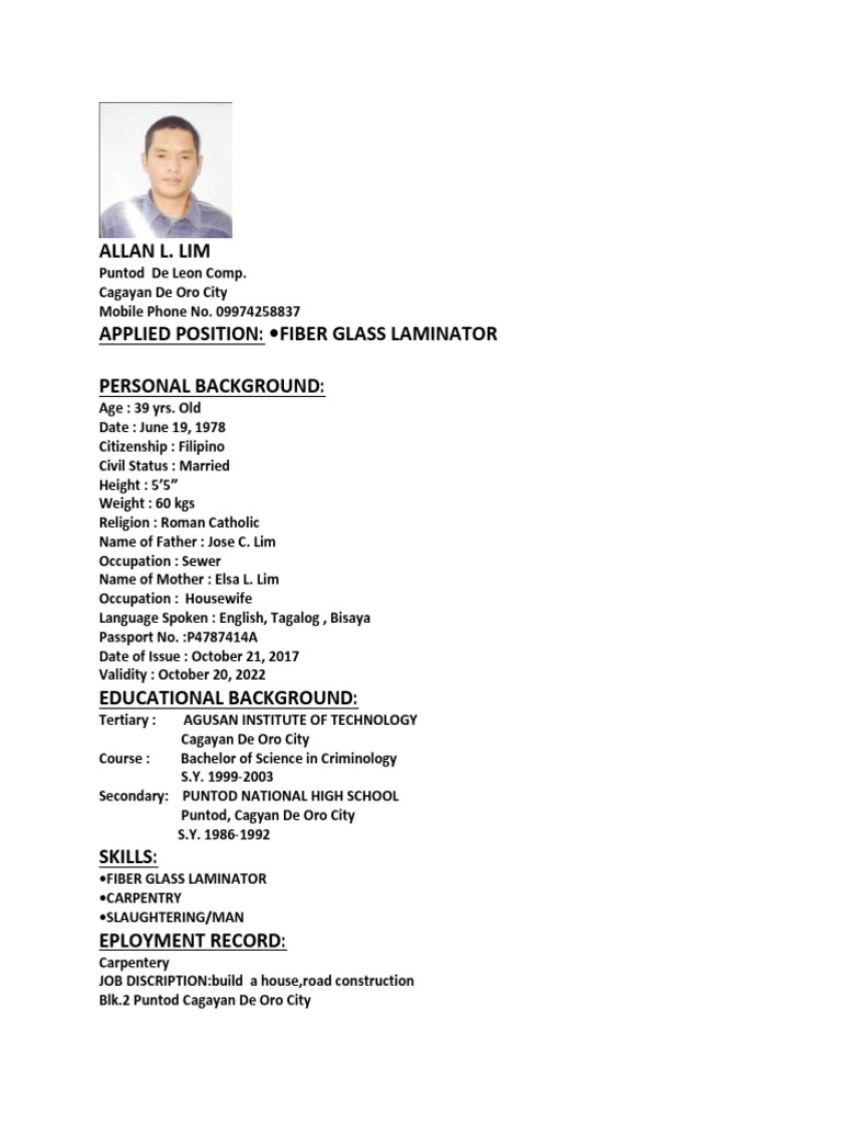 Allan Lim's Professional Profile | PDF