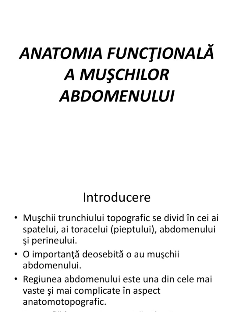 Anatomia Muschilor | PDF
