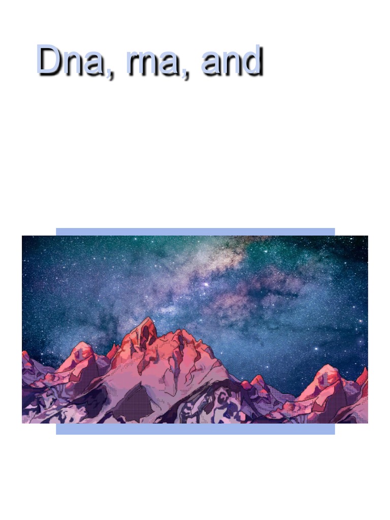 Dna, Rna, and Snorks | PDF