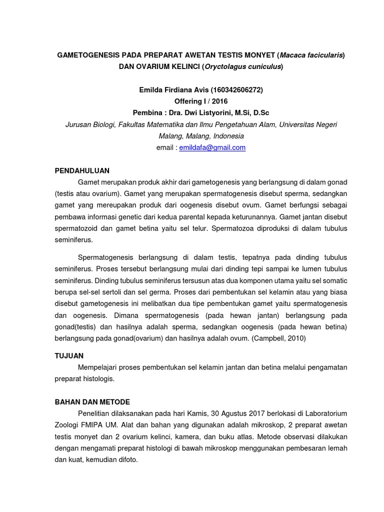 Laporan Gametogenesis | PDF