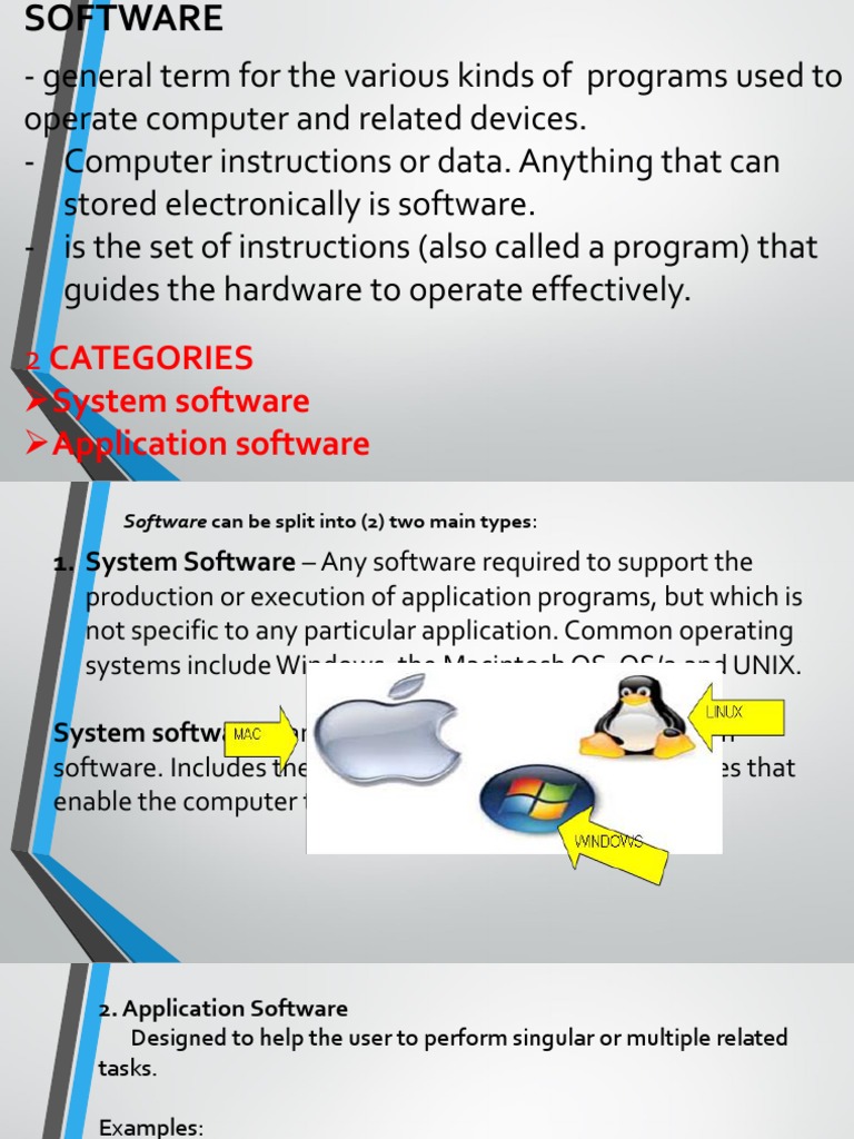 Software Basics for Beginners | PDF | Application Software | Software