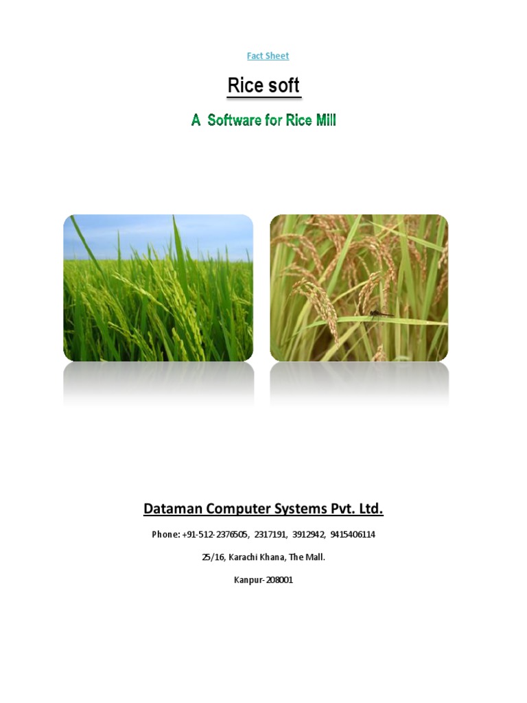 Rice Soft: Dataman Computer Systems Pvt. LTD | PDF | Ledger | Service Industries