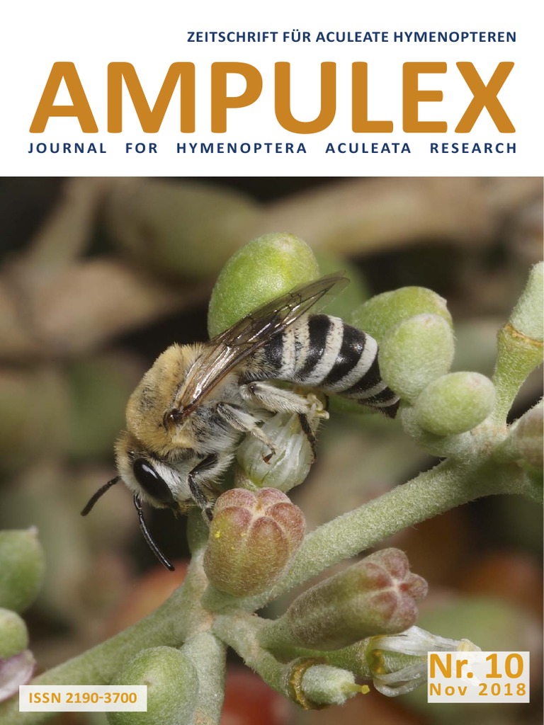 Ampulex 10 | PDF