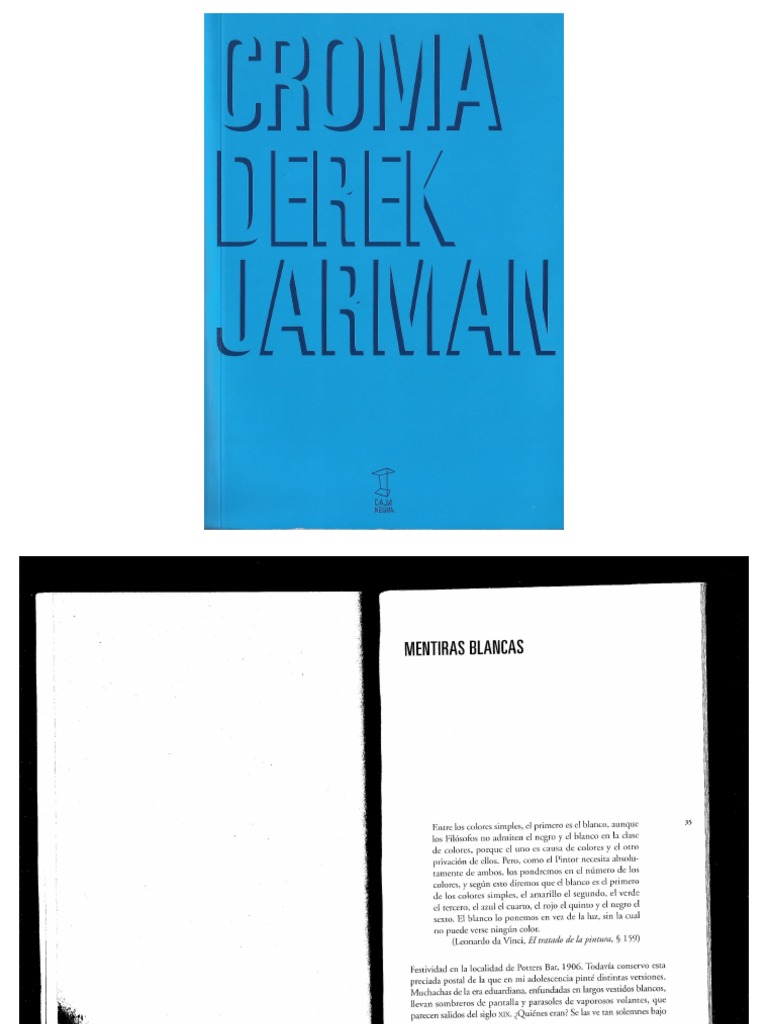 Derek Jarman - Croma PDF | PDF