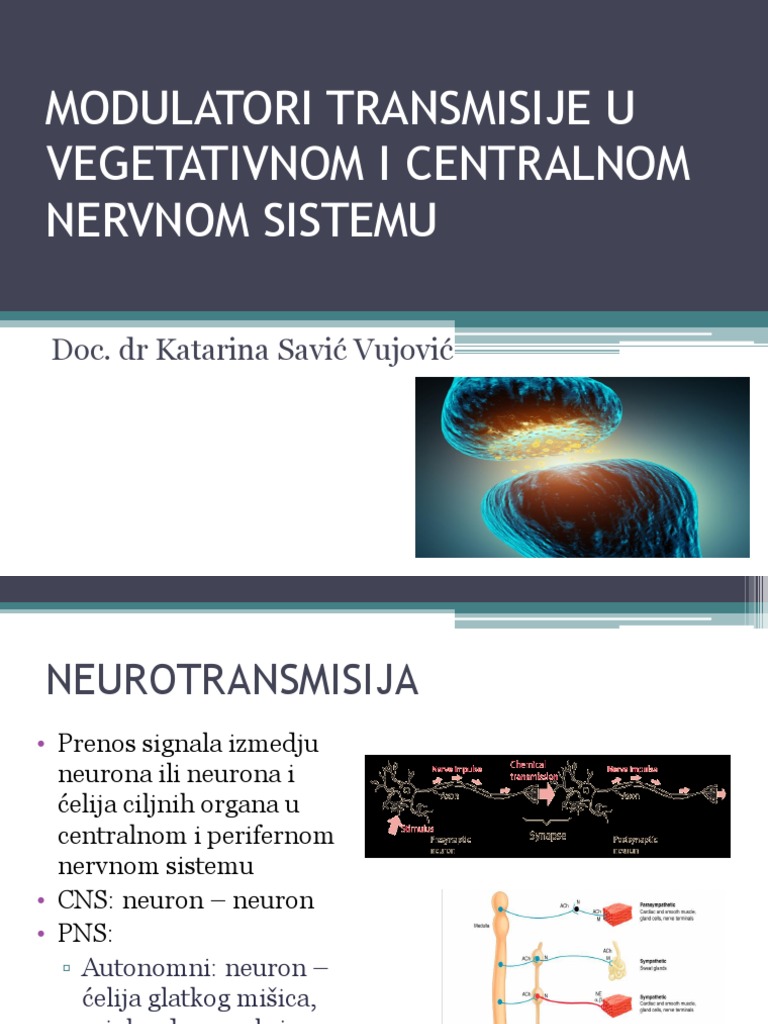 Modulatori Transmisije U Vegetativnom I Centralnom Nervnom S | PDF