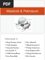 Thorax PA, AP Dan Lateral, RLD Dan LLD | PDF