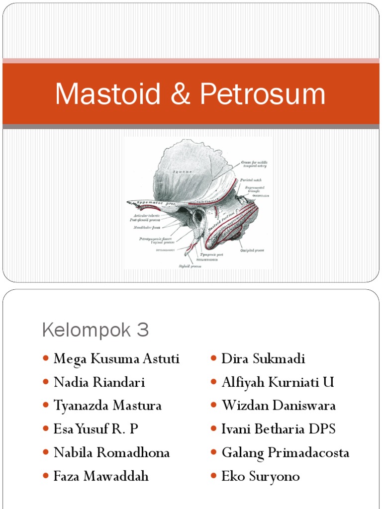 Petrosum Mastoid | PDF