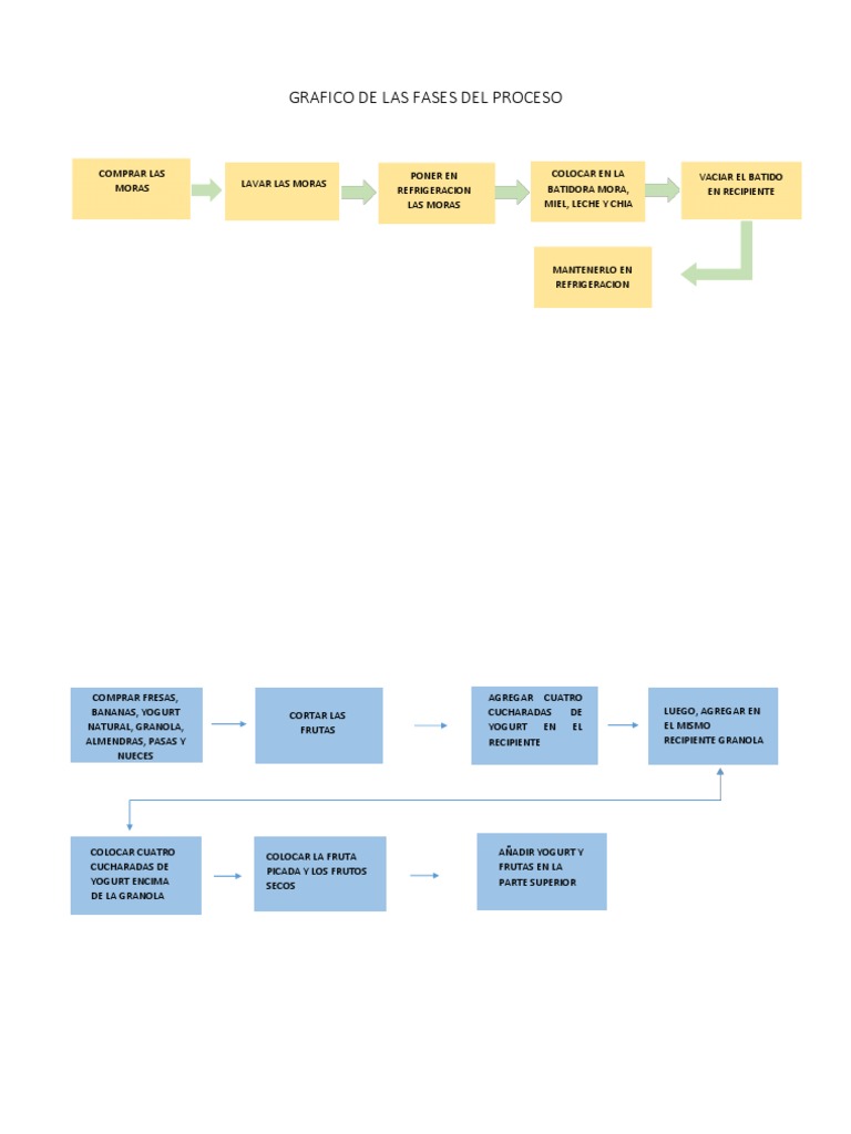 Grafico de Las Fases Del Proceso | PDF