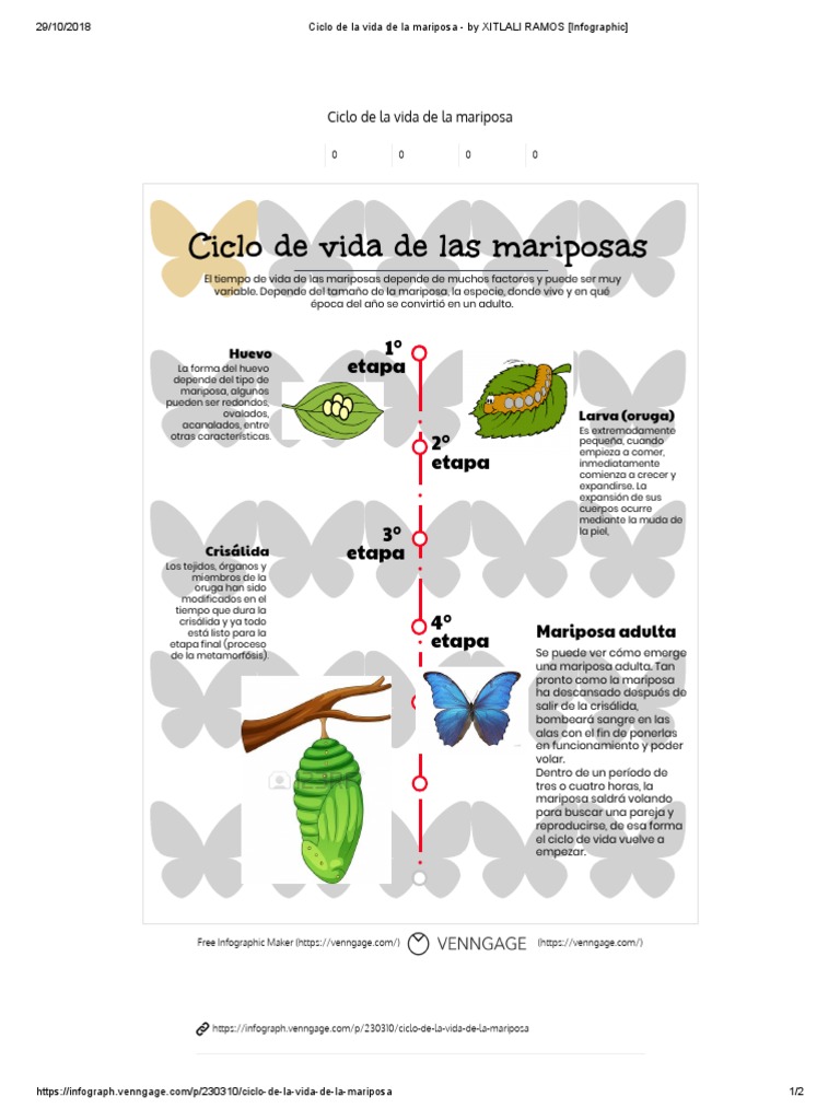 Ciclo de la vida de la mariposa - by XITLALI RAMOS [Infographic].pdf ...