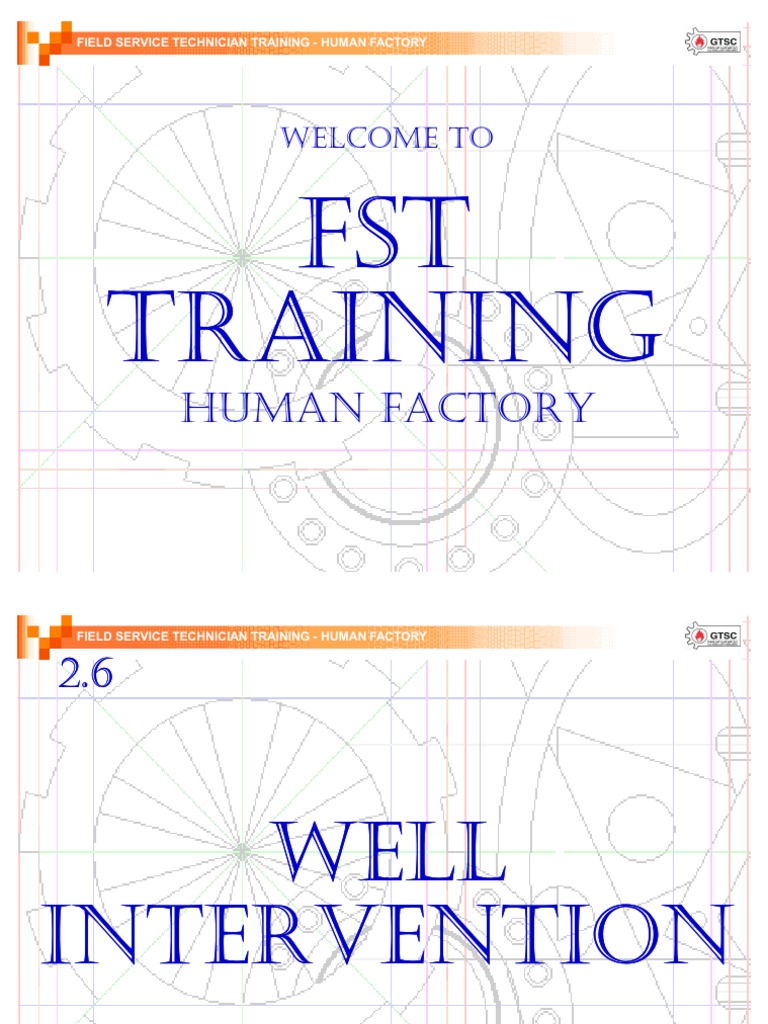 Well Intervention Overview | PDF