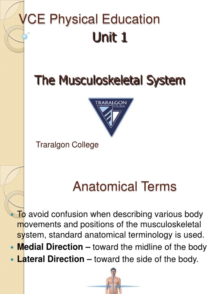 VCE Physical Education: Unit 1 | PDF | Anatomical Terms Of Motion ...