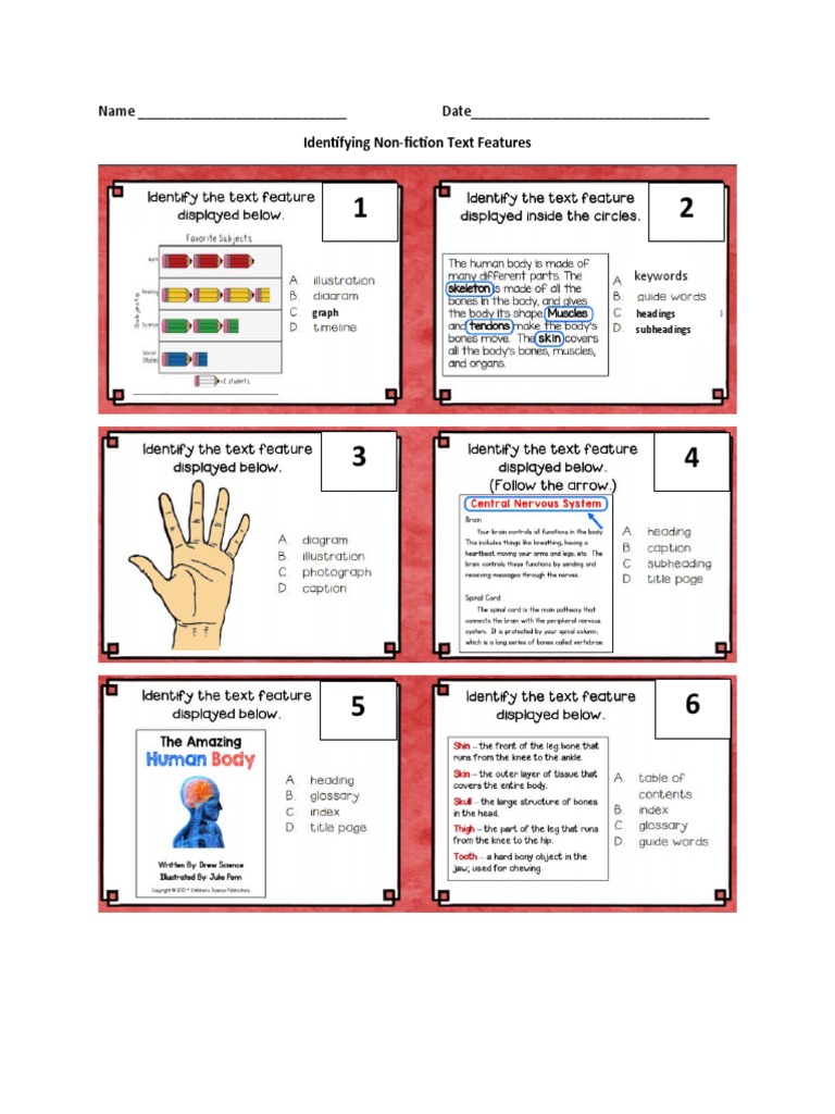 Non-Fiction Text Features Guide | PDF