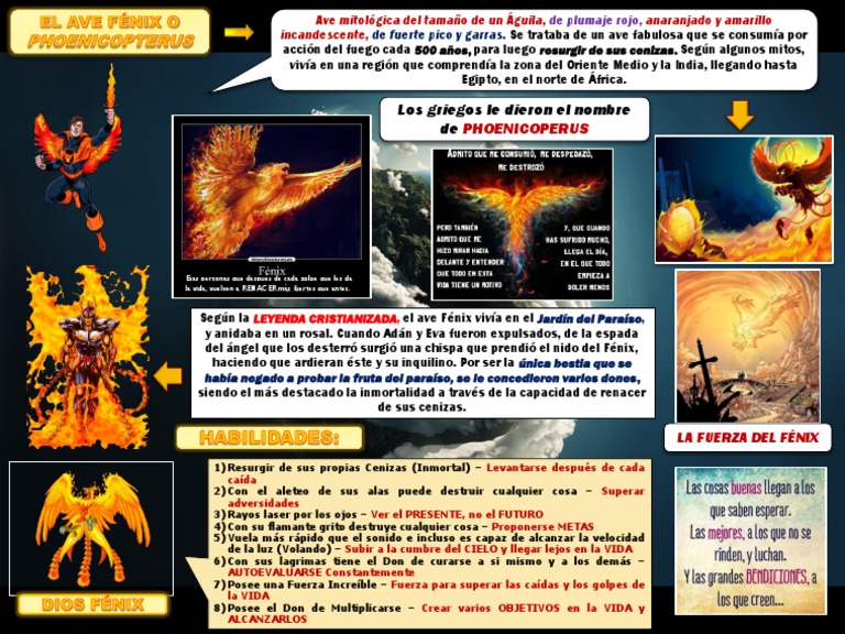 Infografia El Ave Fenix | PDF