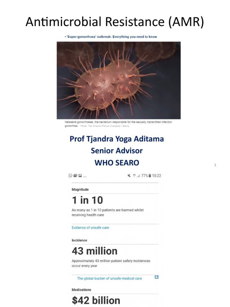 AMR PERSI 18 - Prof. Tjandra (Rev) | PDF | Antimicrobial Resistance ...