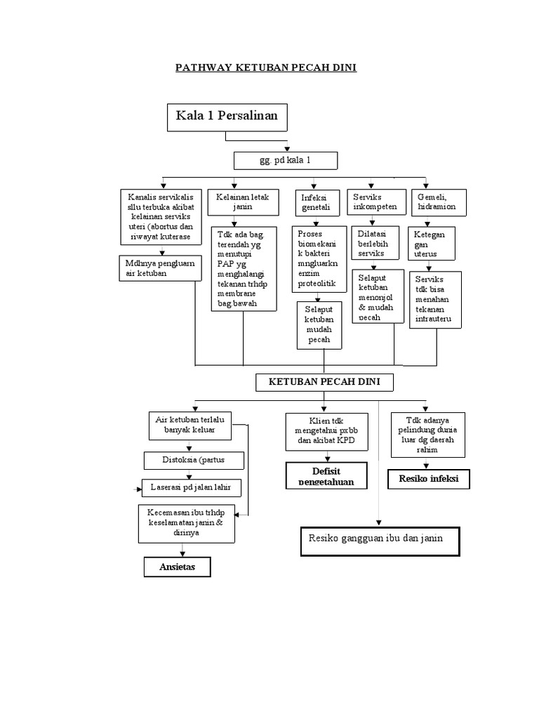 Pathway Ketuban Pecah Dini | PDF