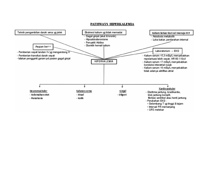 Pathways Hiperkalemia | PDF