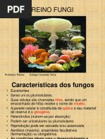 Cruzadinha Sobre Os Fungos PDF | PDF