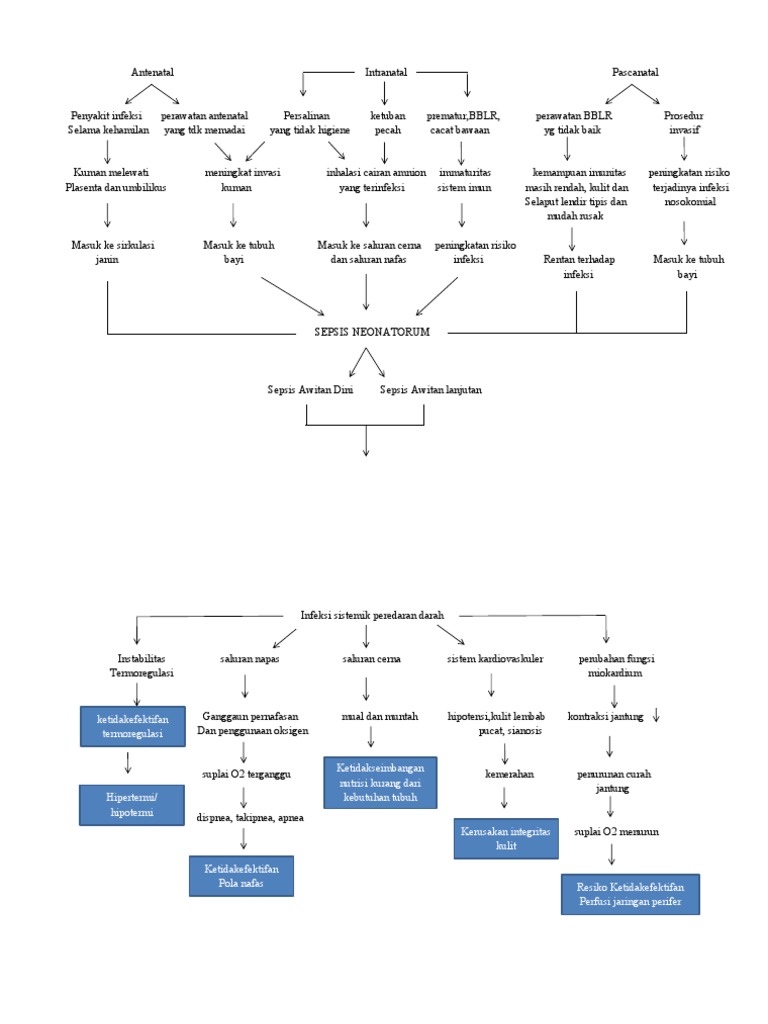 Pathway Sepsis Neonatal | PDF