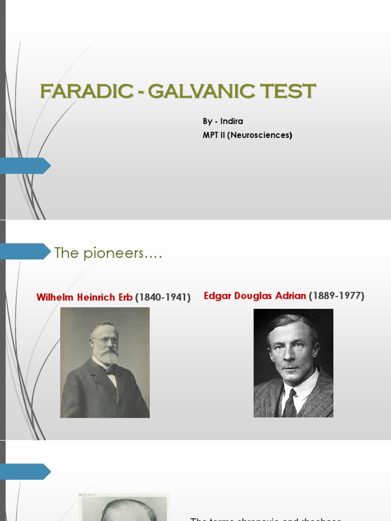 FG Test | PDF | Muscle | Nervous System