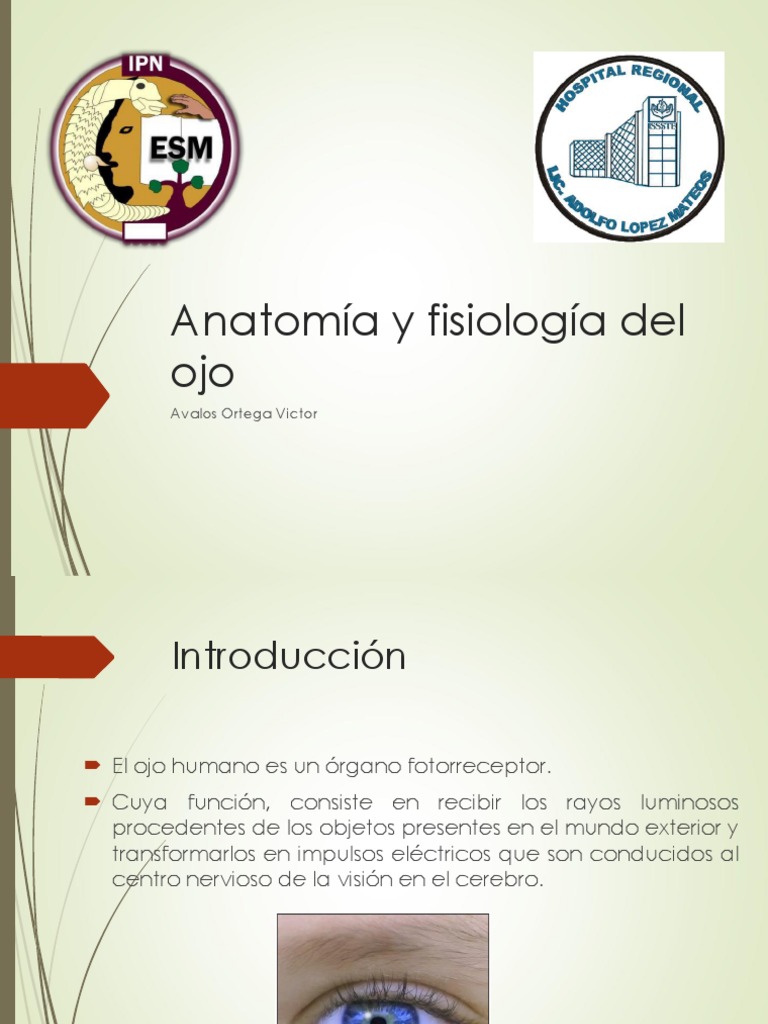 Presentación Anatomia y Fisiologia Ojo | PDF | Ojo humano | Percepción visual