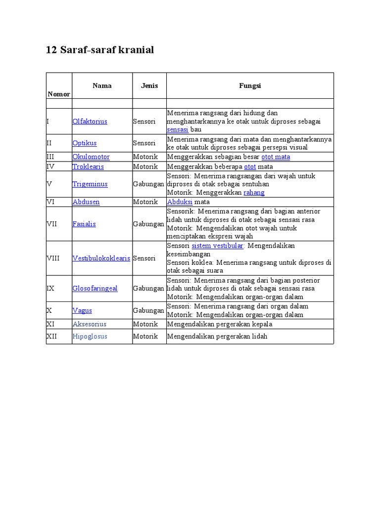 12 Saraf Cranial | PDF