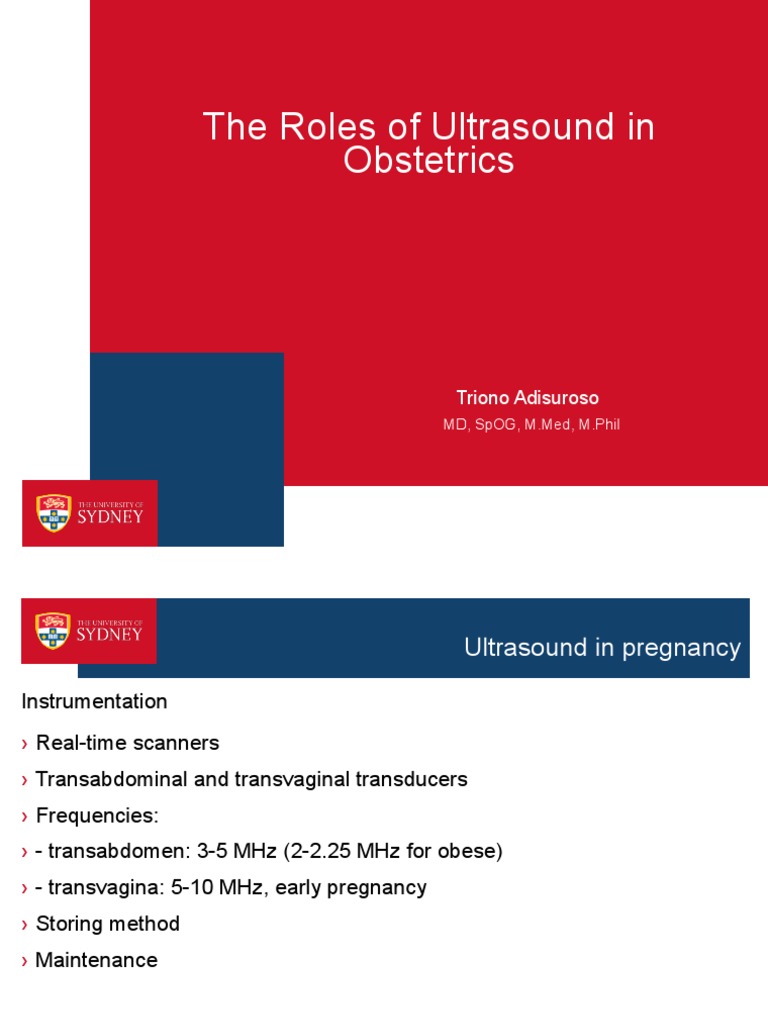 A Comprehensive Guide to the Roles and Applications of Ultrasound in ...