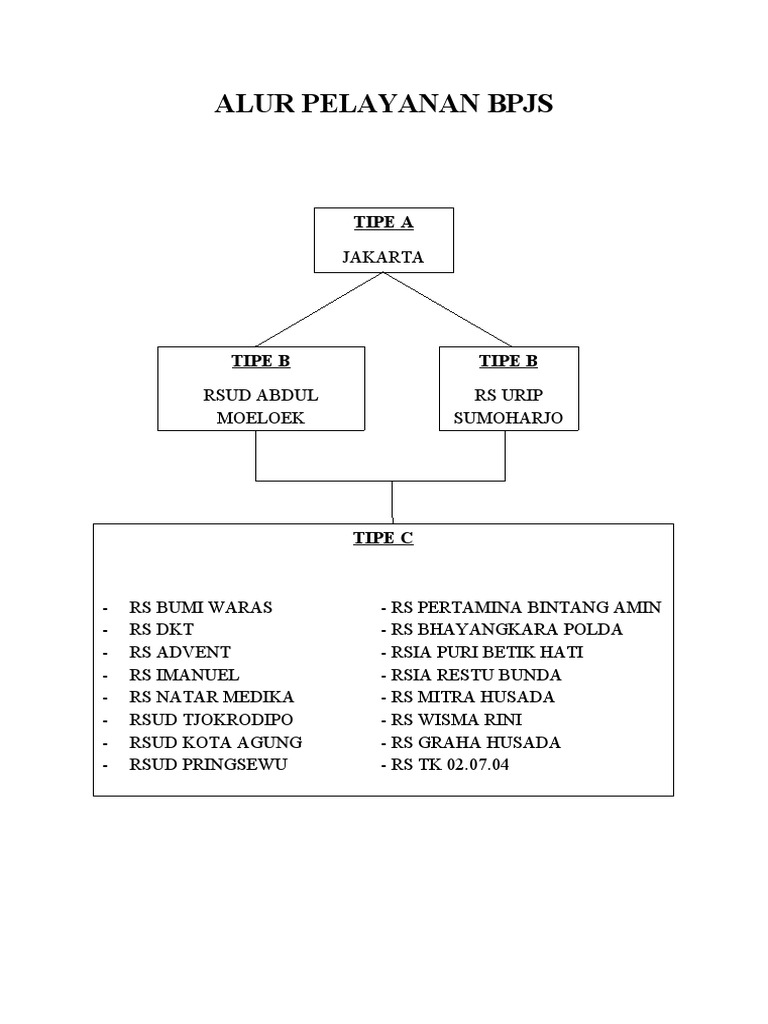 Alur Pelayanan BPJS | PDF