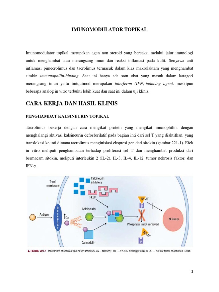Imunomodulator | PDF | Sains & Matematika
