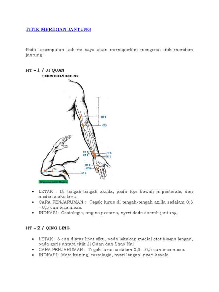 Titik Meridian Jantung | PDF