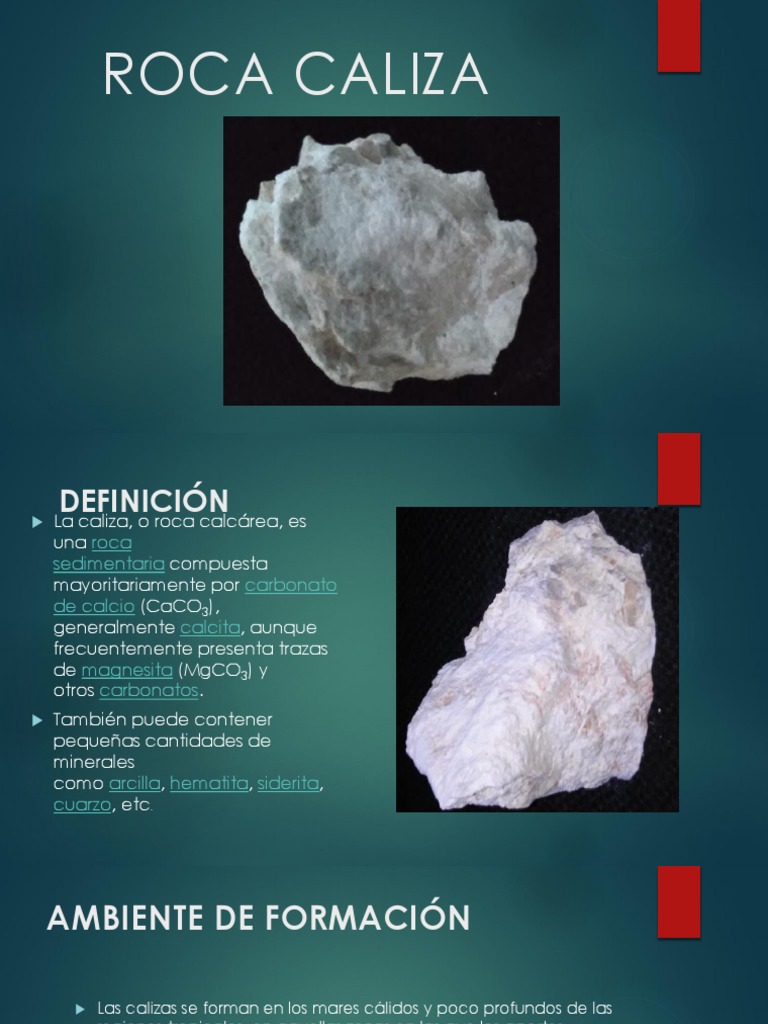 Tipos y formación de la roca caliza | PDF | Ciencias sociales | Arte
