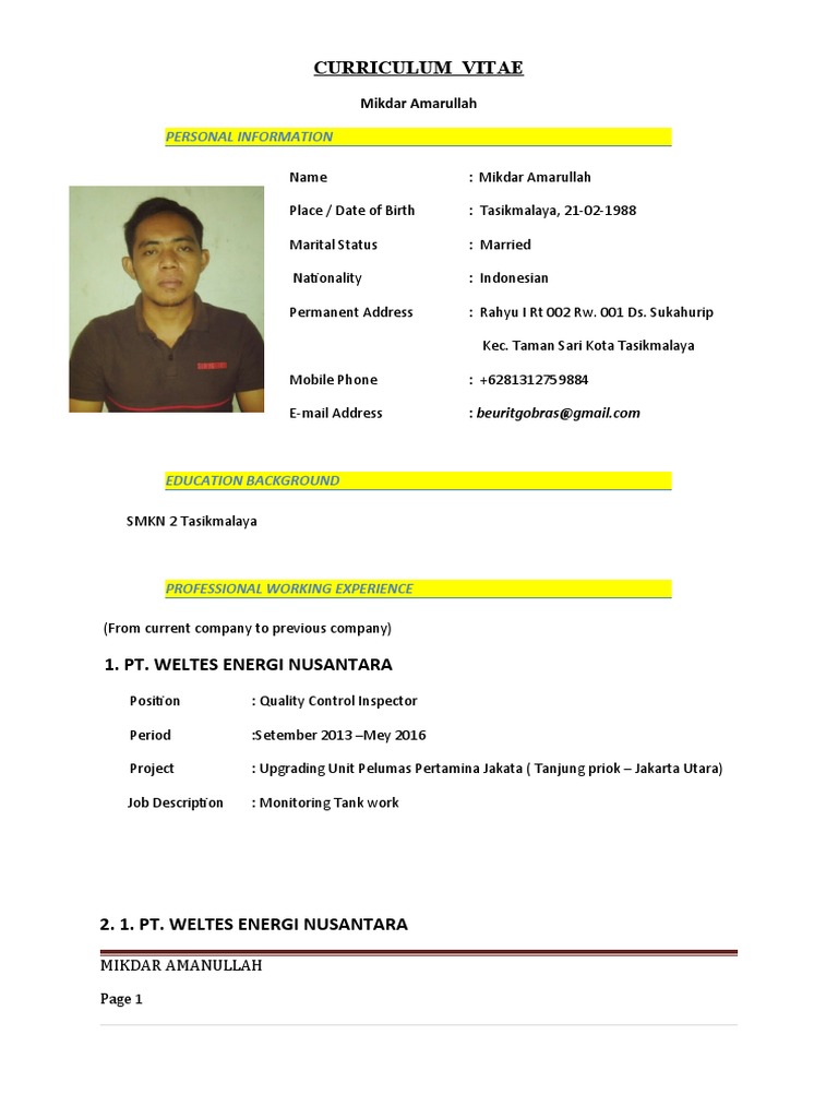 Curriculum Vitae: Personal Information | PDF | Computing | Information Technology