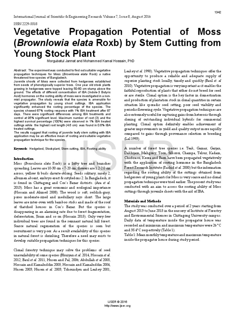Vegetative Propagation Techniques | PDF | Plant Nursery | Hedge