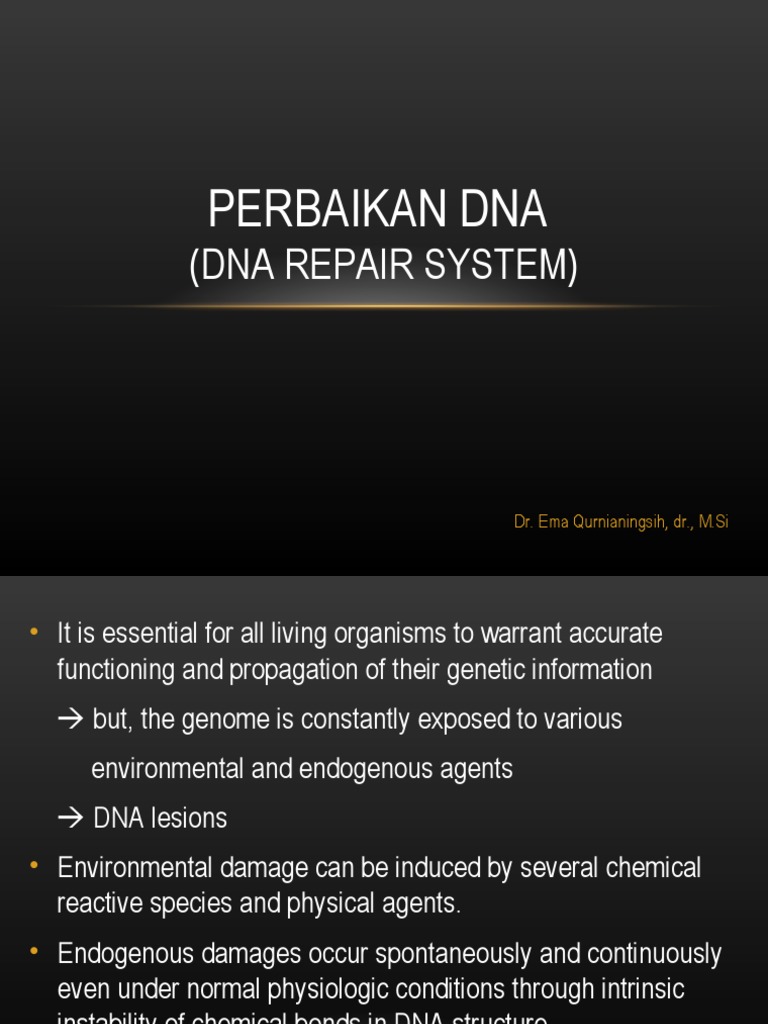 Perbaikan Dna | Dna Repair | Nucleotides