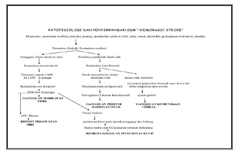 Algoritma Stroke