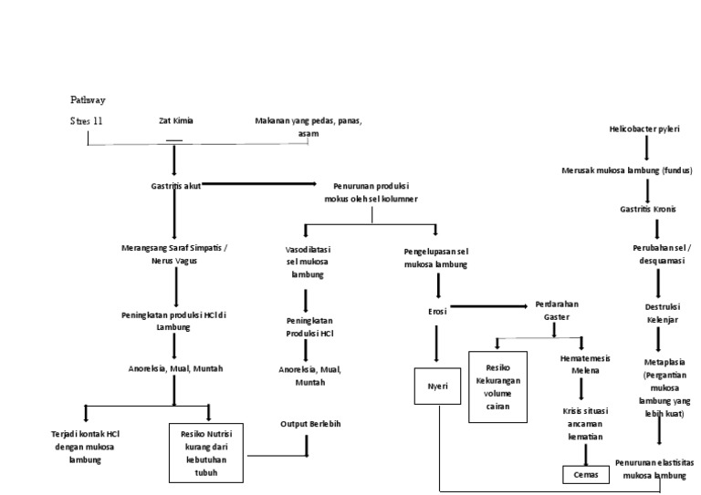 Pathway Gastritis | PDF