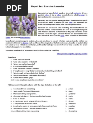 18+ Contoh Report Text Tentang Bunga Lavender yang Lagi Viral ...