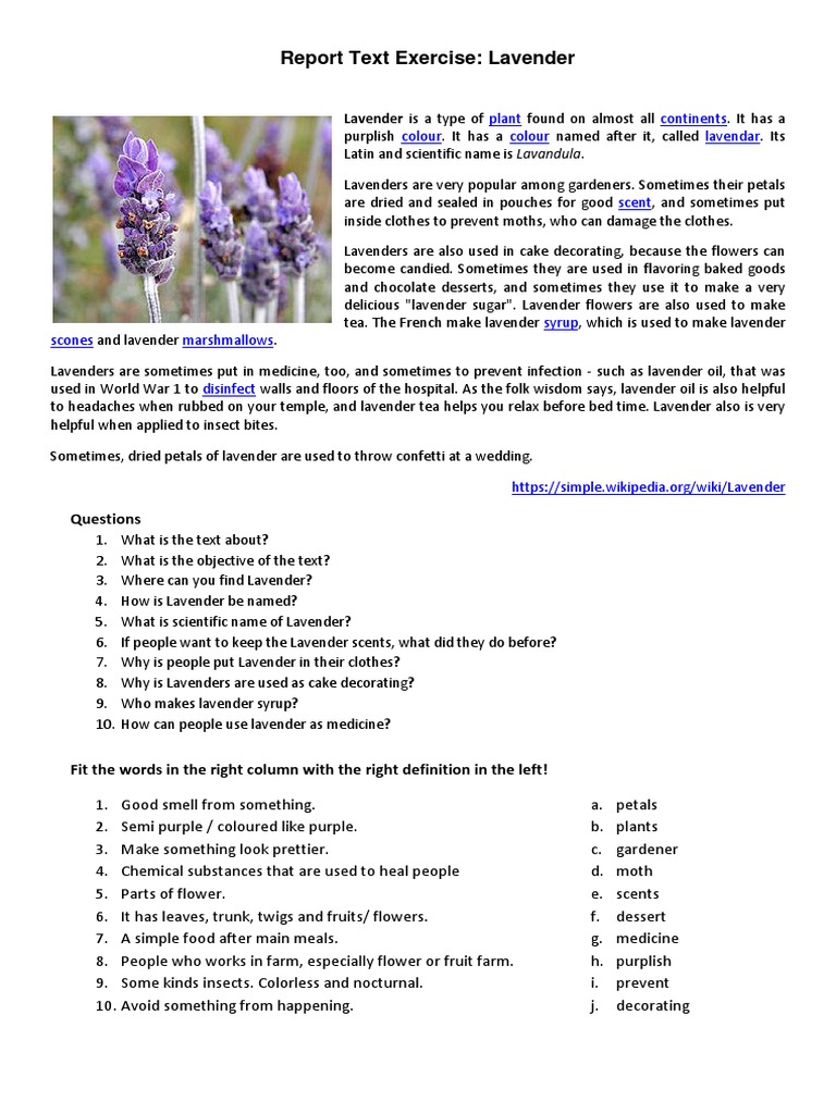 Exercise 4 Reading Comprehension Exercises | PDF | Lavandula | Botany