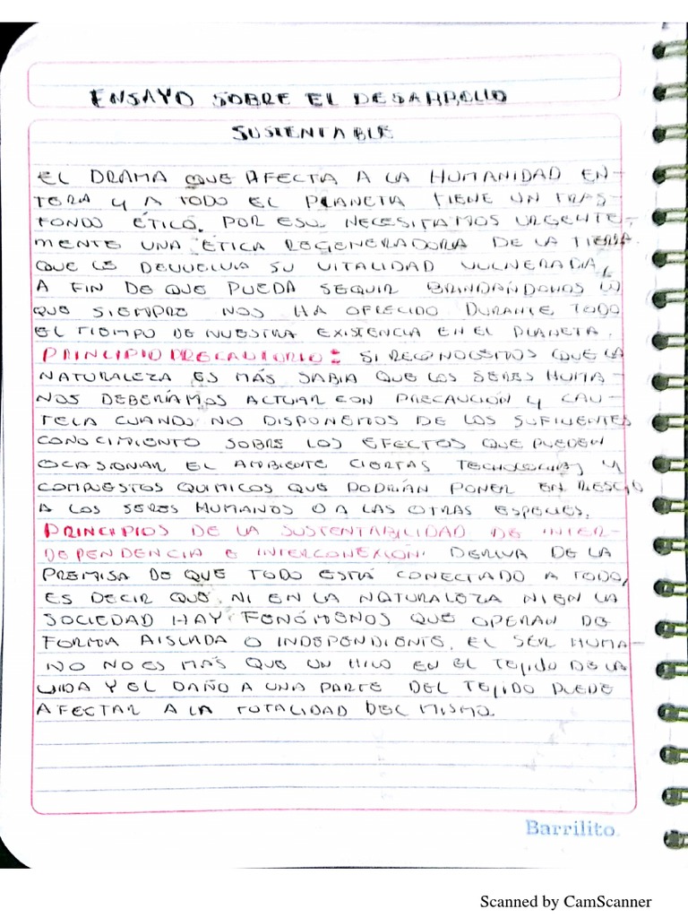 Effective Scanning Tips with CamScanner | PDF