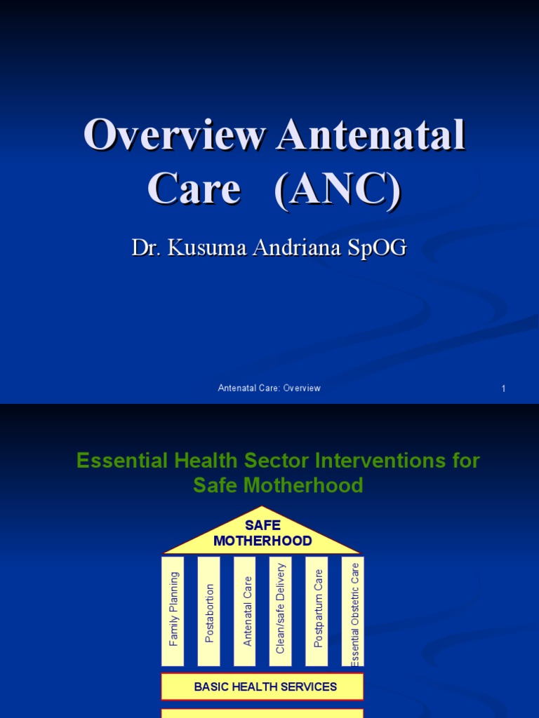 Overview Antenatal Care (ANC) | PDF | Pregnancy | Prenatal Development