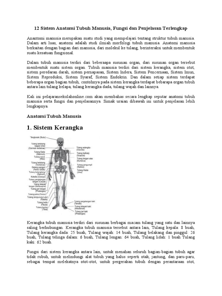 12 Sistem Anatomi Tubuh Manusia | PDF