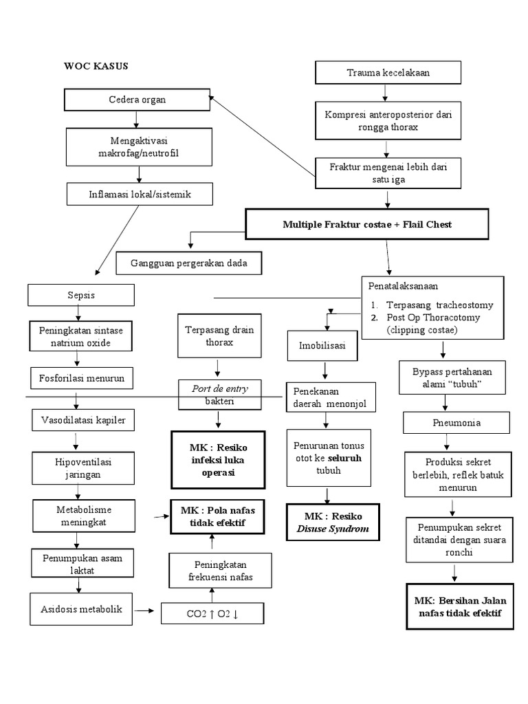 WOC Multiple Fraktur Costae | PDF
