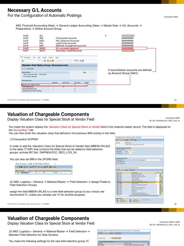 En S4 SCC Configuration 02 | PDF | Accounts Payable | Invoice