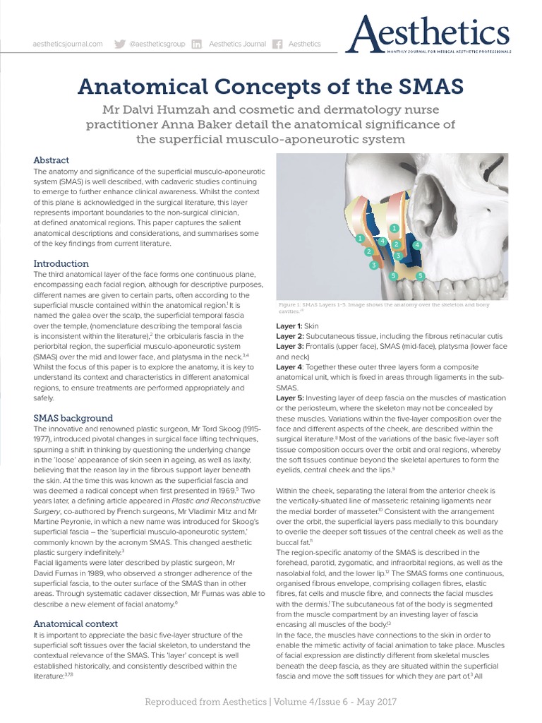 Anatomy of the Superficial SMAS | PDF | Anatomy | Plastic Surgery