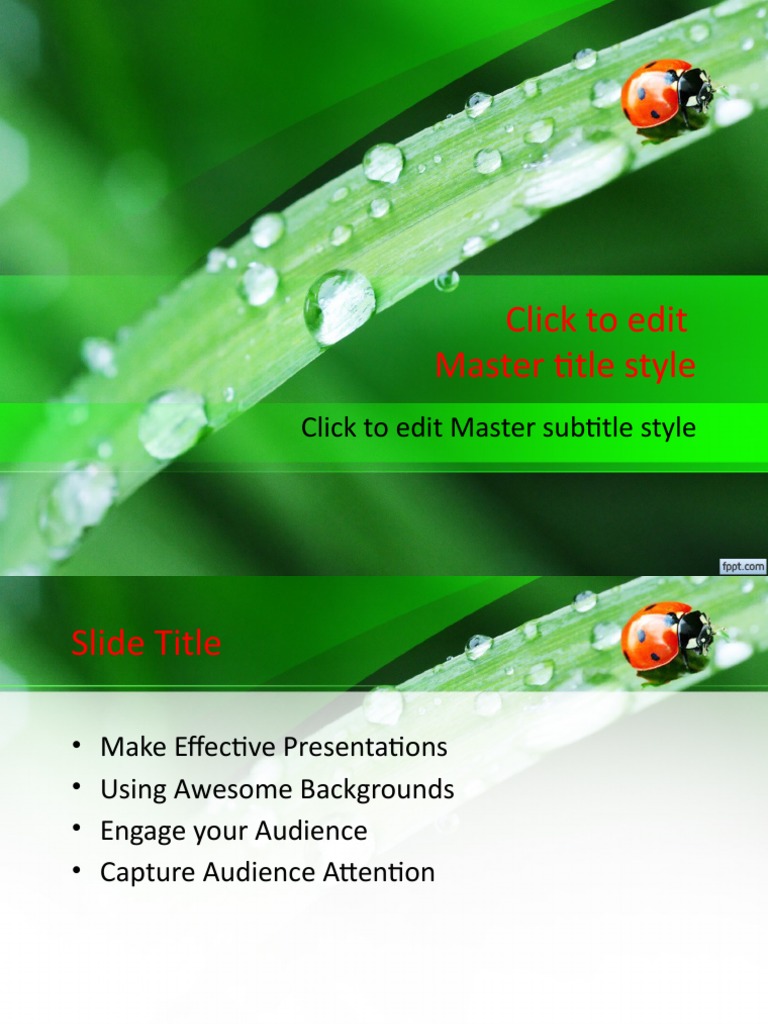 3016 Ladybug Powerpoint Template | PDF | Art