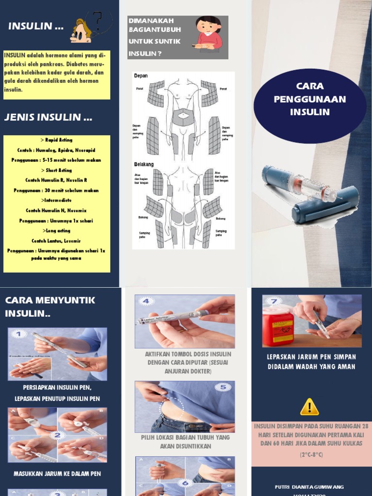 Leaflet Cara Penggunaan Insulin | PDF