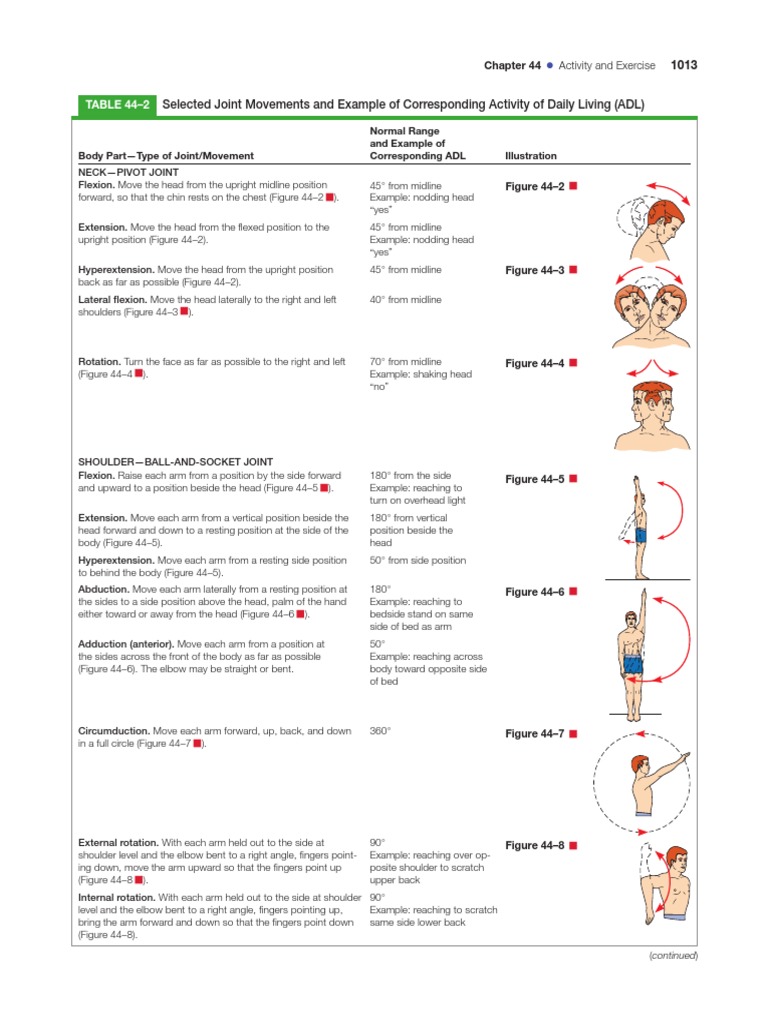 Rom PDF | PDF | Anatomical Terms Of Motion | Hand