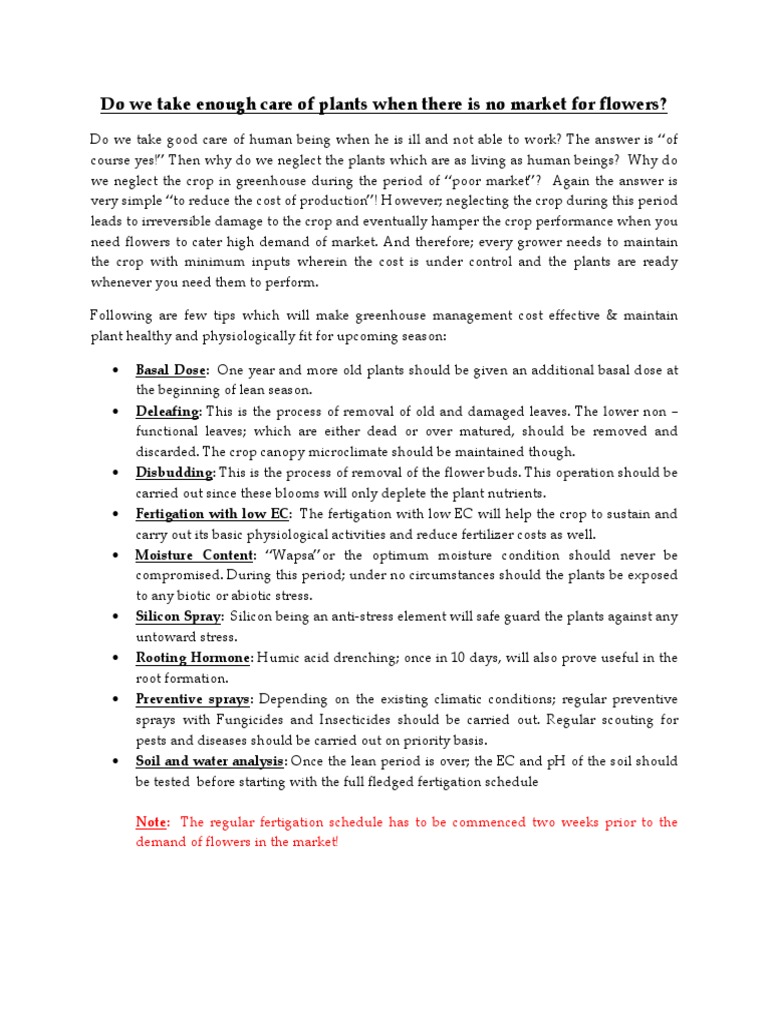 Do We Take Enough Care of Plants When There Is No Market For Flowers ...