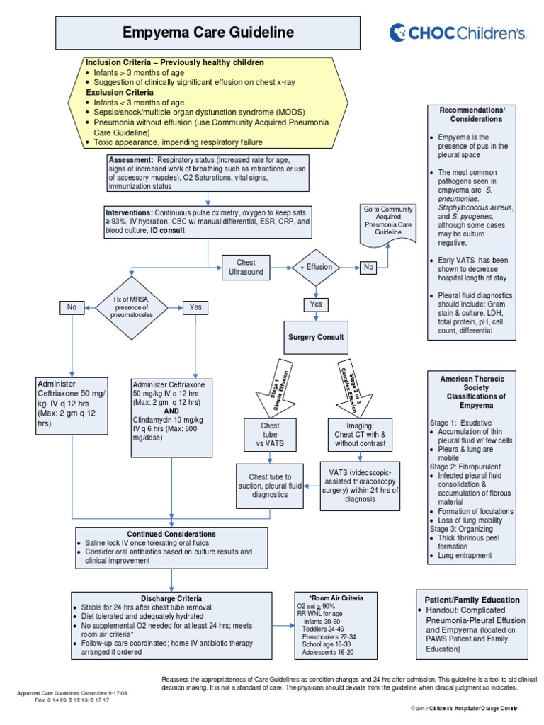 Empyema Care Guideline | PDF | Medical Specialties | Health Sciences