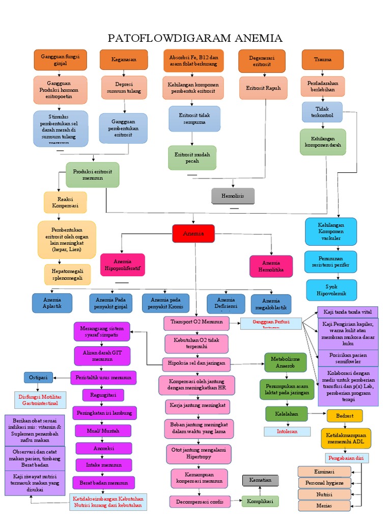 ANEMIA Patoflow | PDF