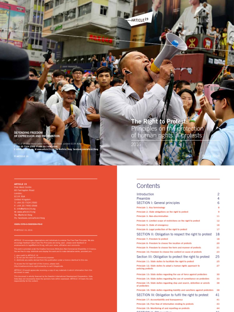 Right To Protest Principles Final PDF | PDF | Human Rights | Rights
